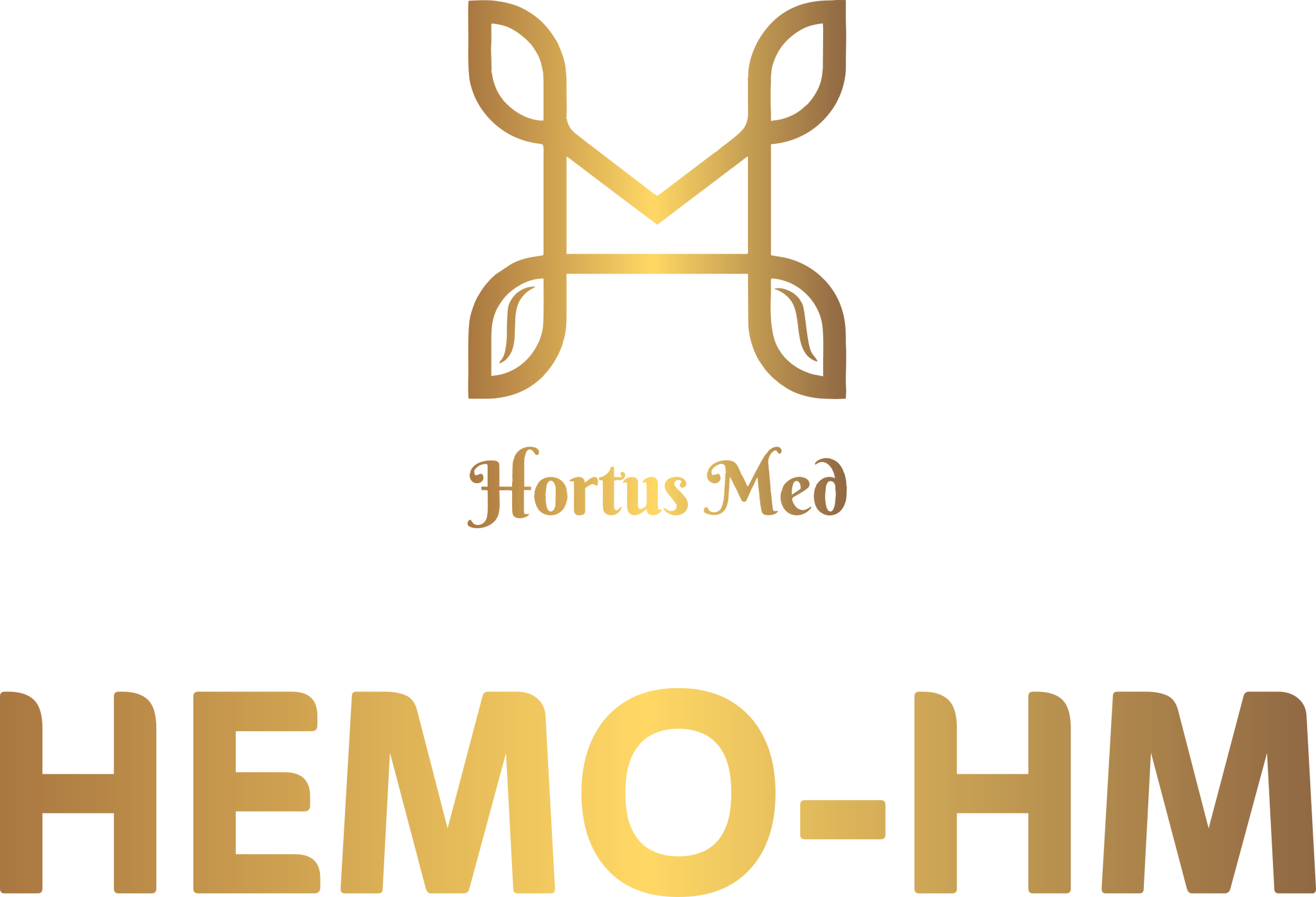 HEMO-HM – WordPress